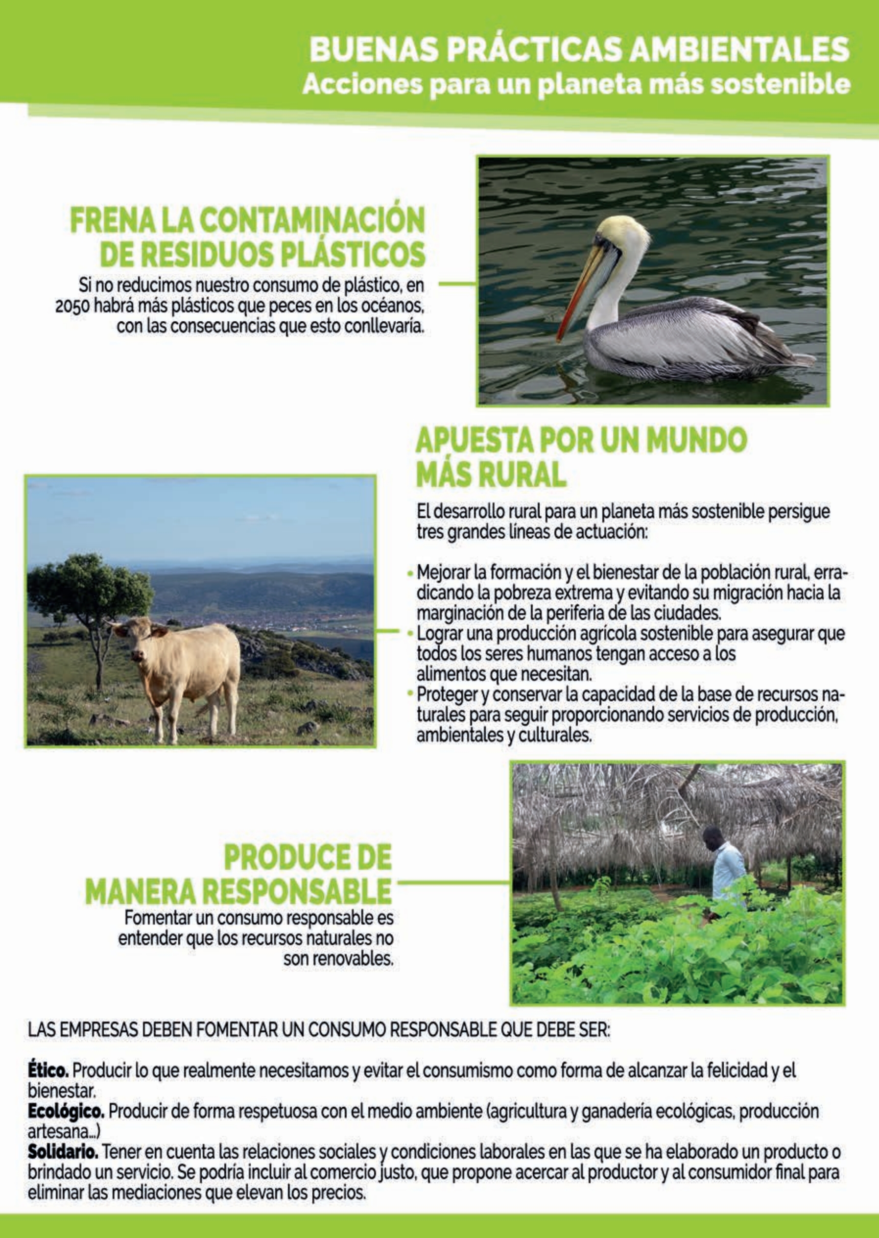 "Acciones para un planeta más sostenible y solidario" hasta el 20 de ...